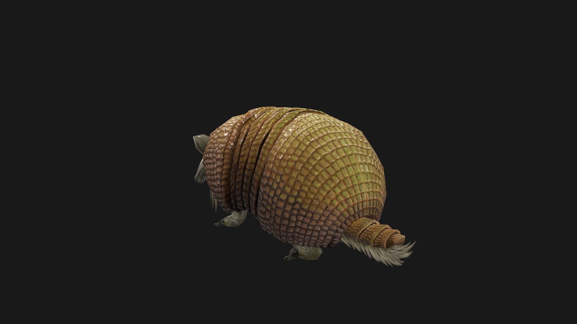 Armadillo 3D - TurboSquid 2184683