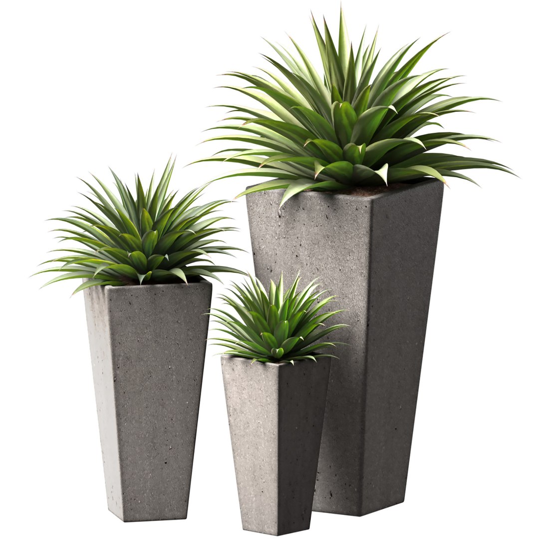 Decorative Outdoor Porch Or Terrace Plant Front Entrance Tree 3D Model ...