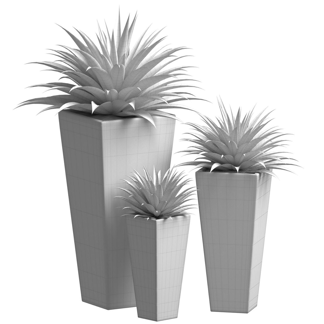 Decorative Outdoor Porch Or Terrace Plant Front Entrance Tree 3D Model ...