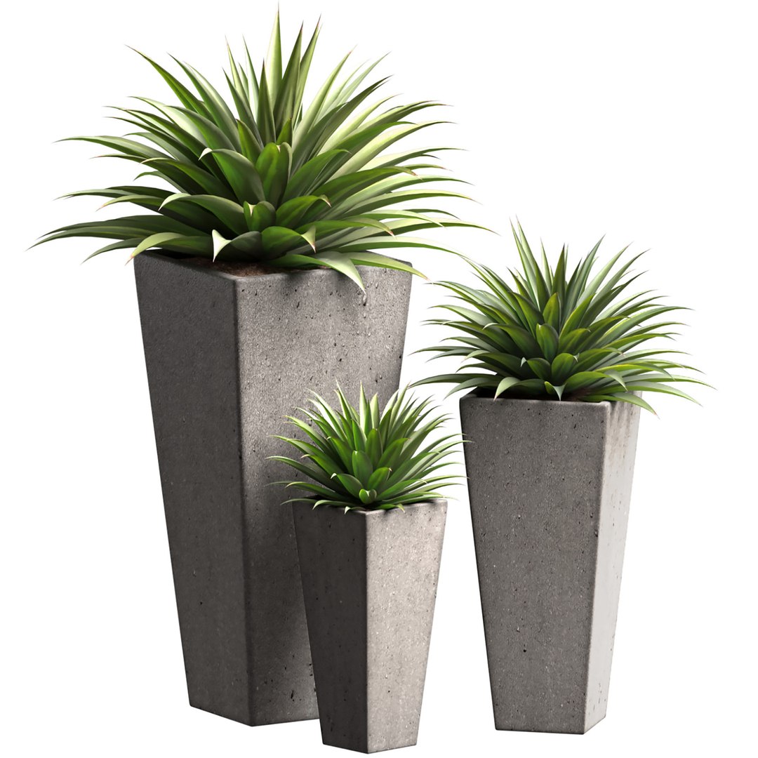 Decorative Outdoor Porch Or Terrace Plant Front Entrance Tree 3D Model ...