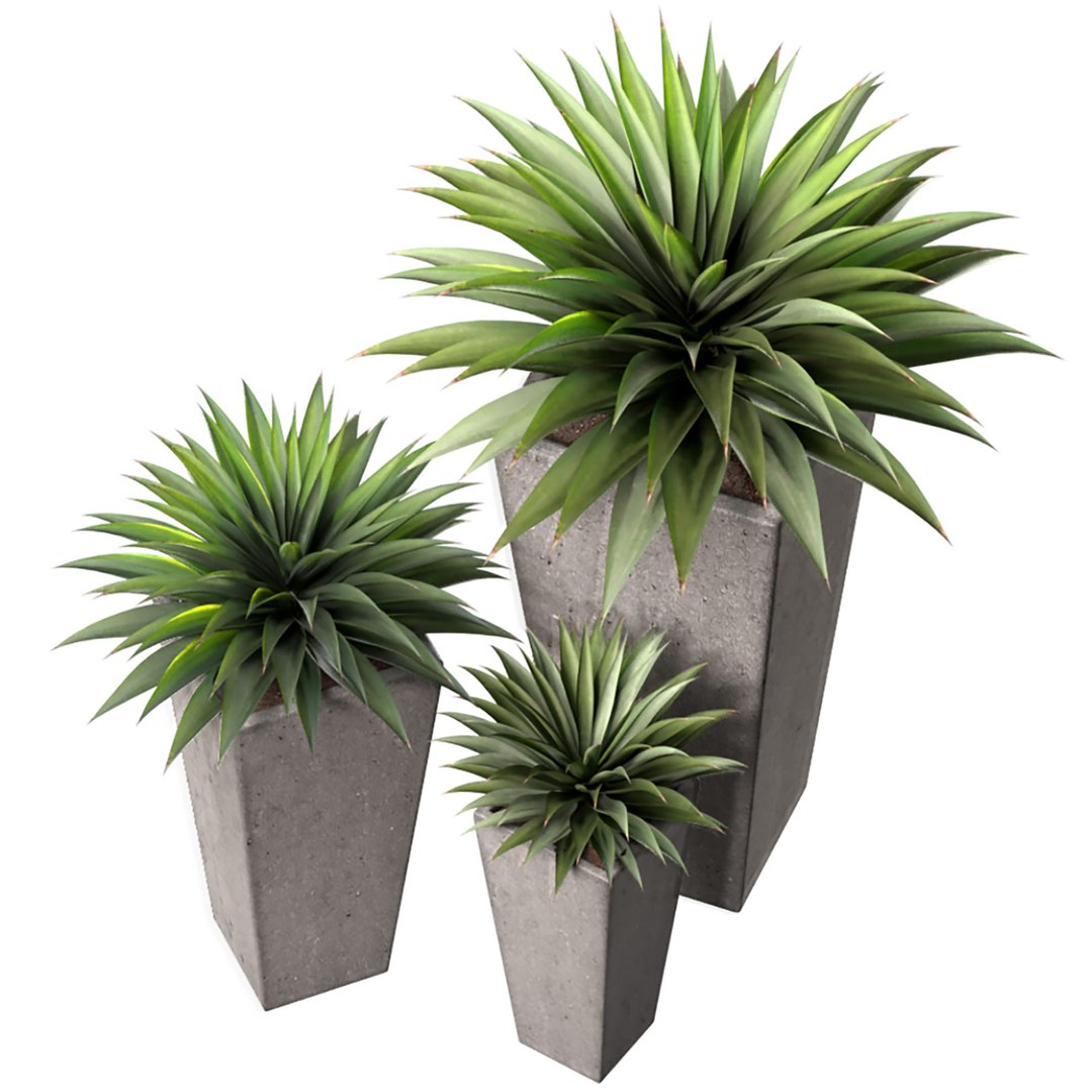 Decorative Outdoor Porch Or Terrace Plant Front Entrance Tree 3D Model ...