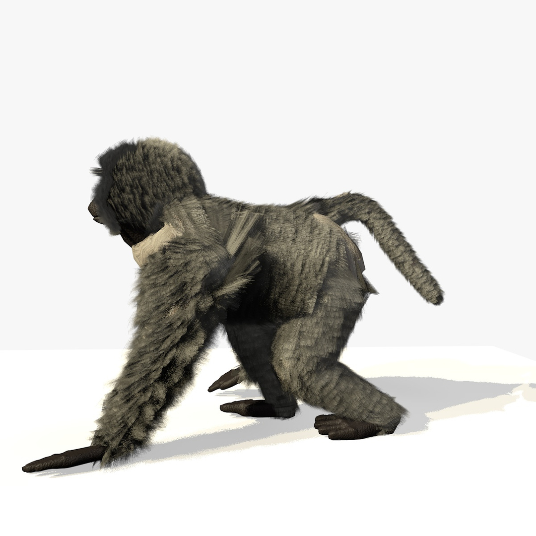 3d C4d Walking Baboon Animations