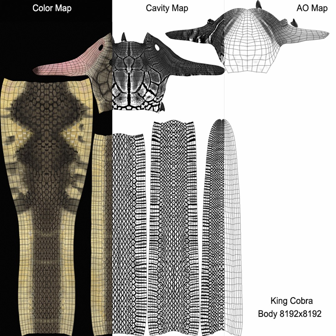 3D Snake Collection Rigged Animated model - TurboSquid 1768323