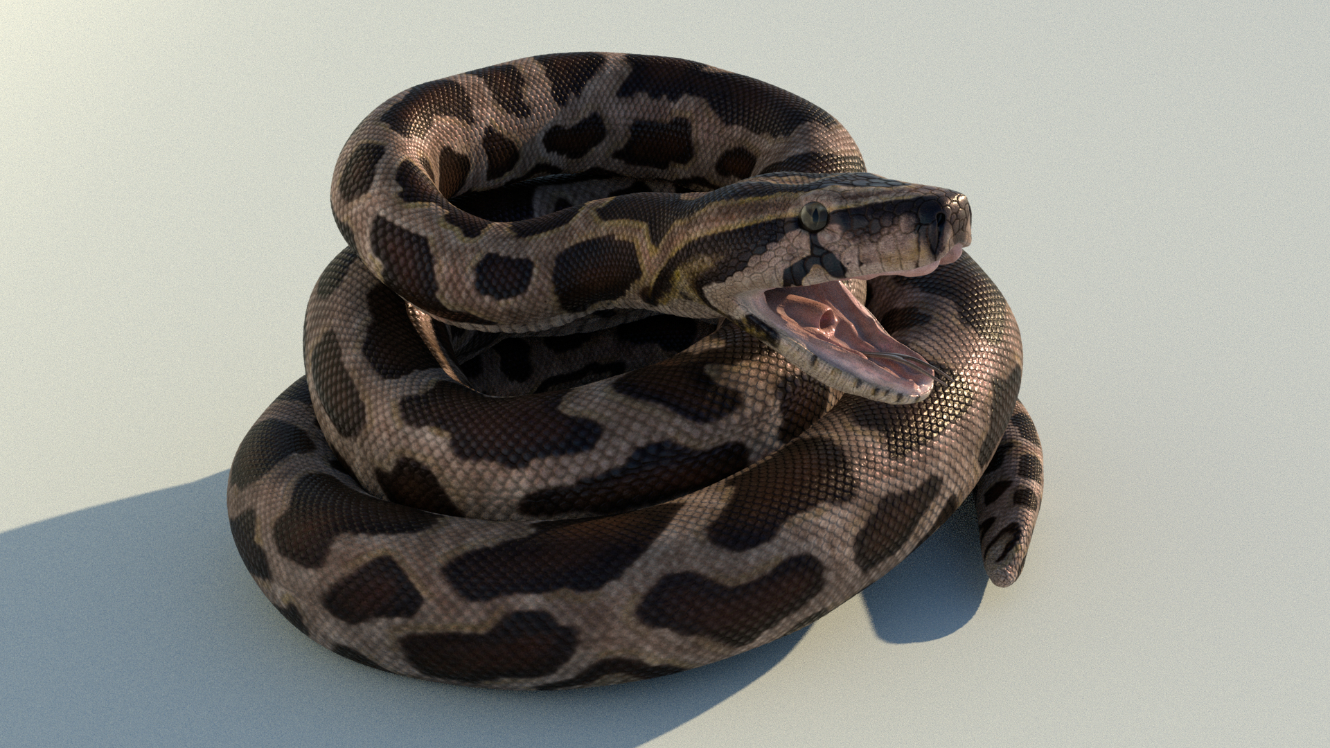 3D Snake Collection Rigged Animated model - TurboSquid 1768323