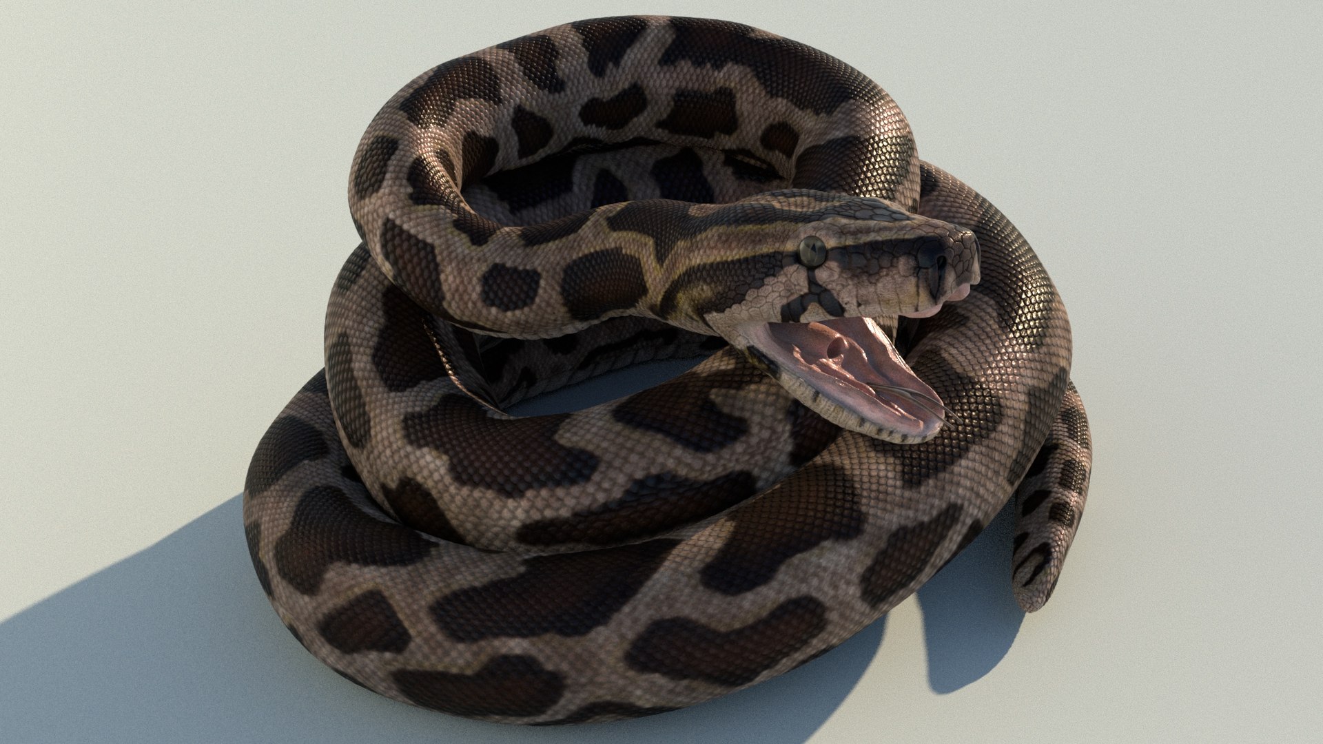 3D Snake Collection Rigged Animated model - TurboSquid 1768323