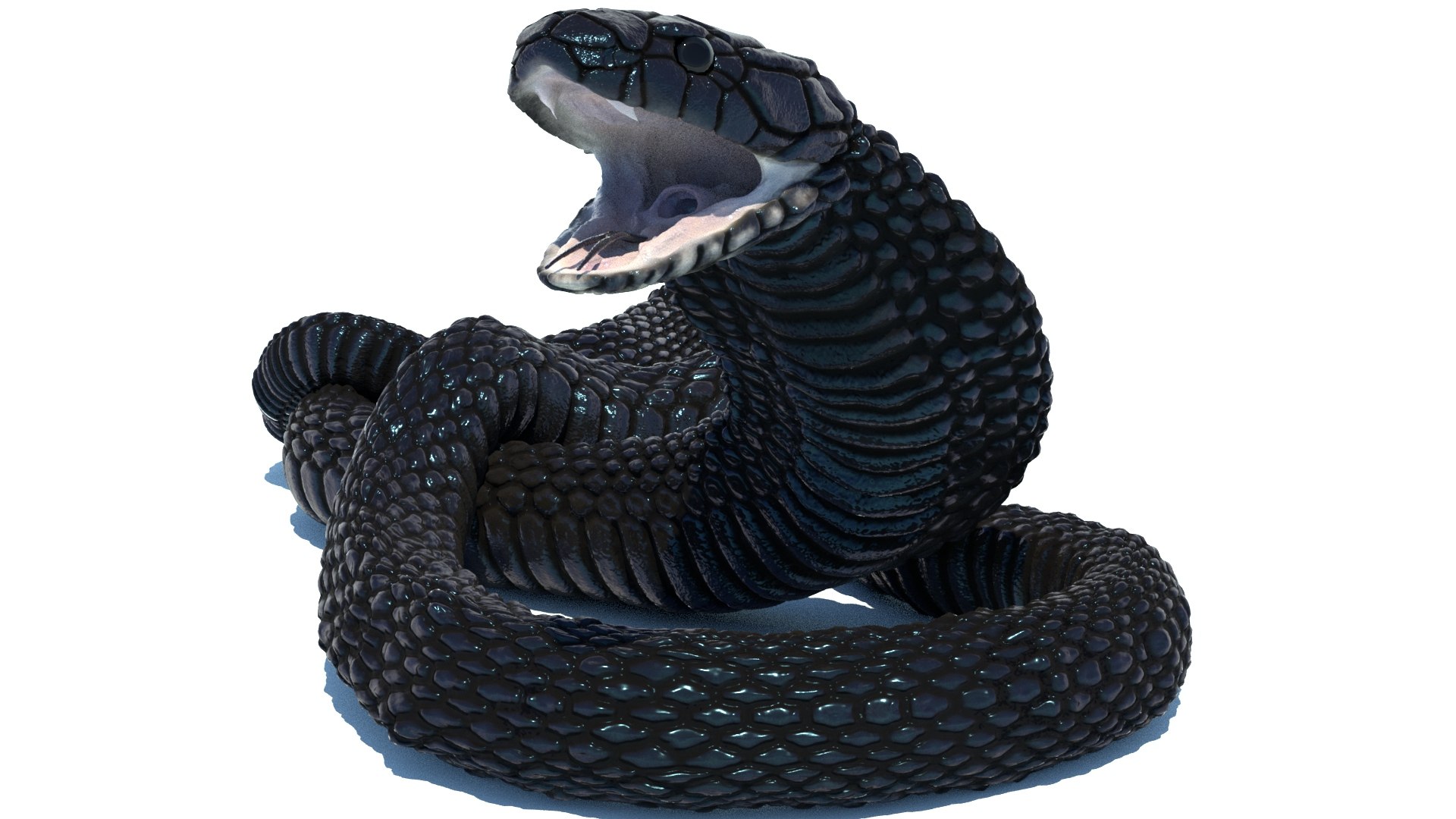 3D Snake Collection Rigged Animated model - TurboSquid 1768323