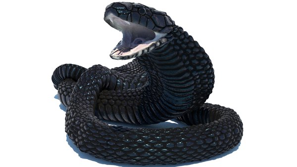 3D Snake Collection Rigged Animated model - TurboSquid 1768323