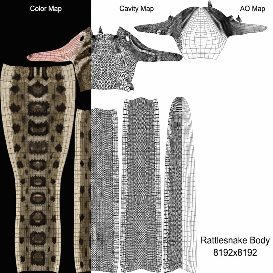 3D Snake Collection Rigged Animated model - TurboSquid 1768323