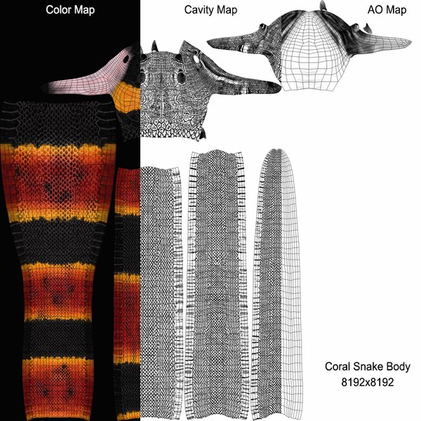 3D Snake Collection Rigged Animated model - TurboSquid 1768323