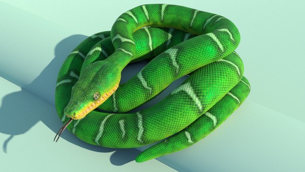 3D Snake Collection Rigged Animated model - TurboSquid 1768323