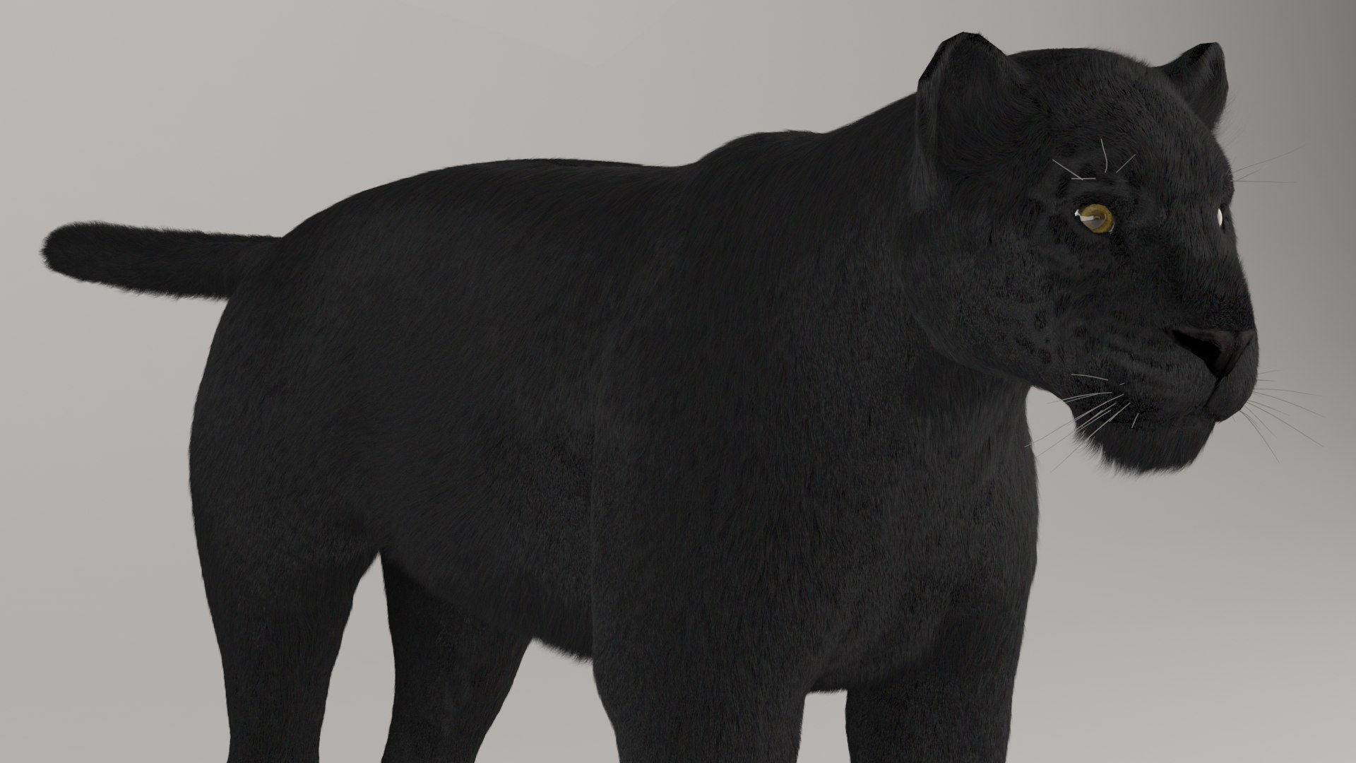 Black Leopard 3D Model - TurboSquid 1454588