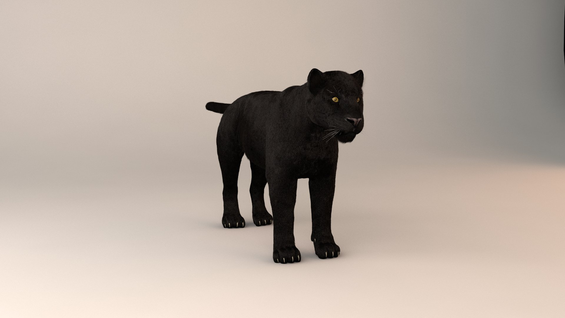 Black Leopard 3D Model - TurboSquid 1454588