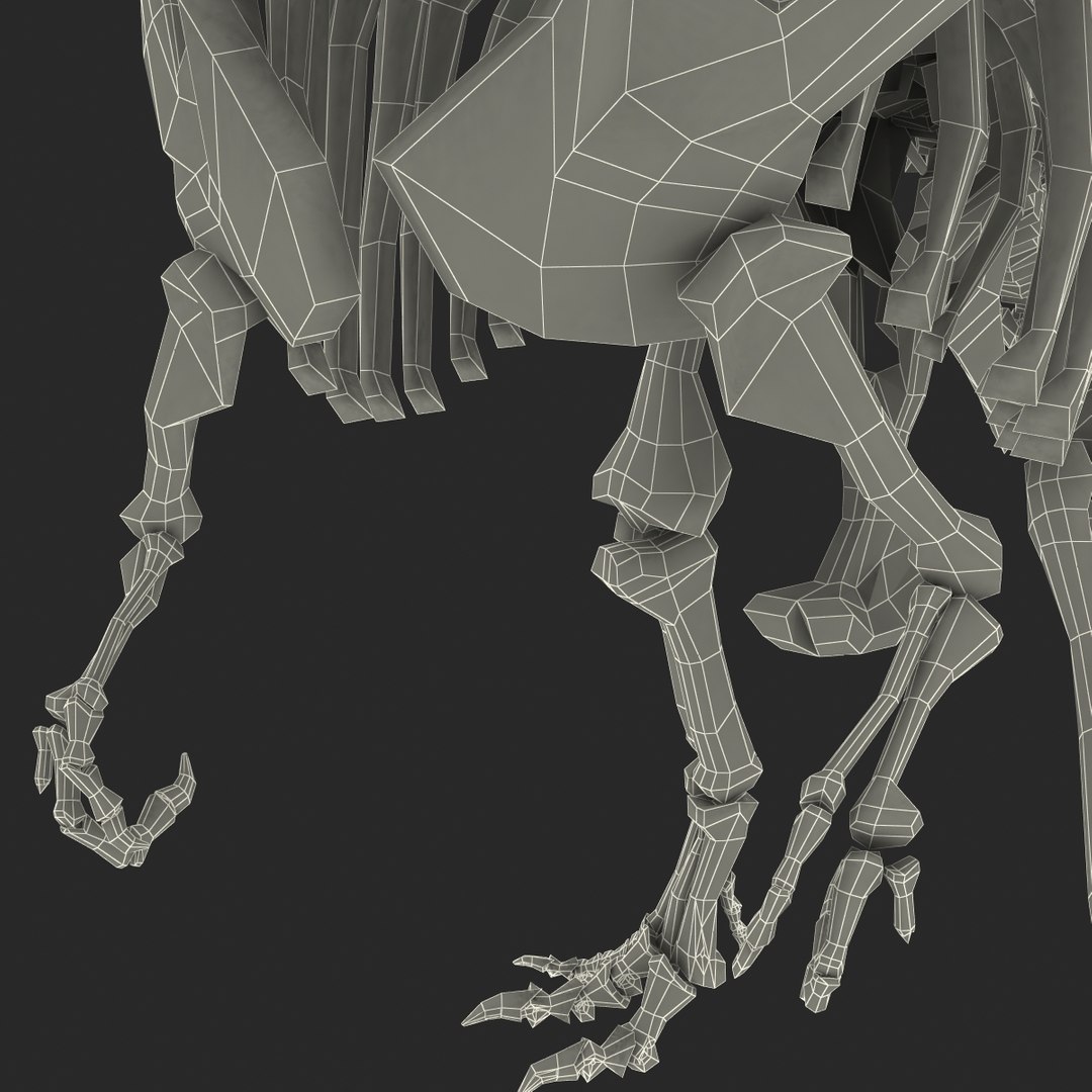 C4d Dinosaur T-rex Bones 2