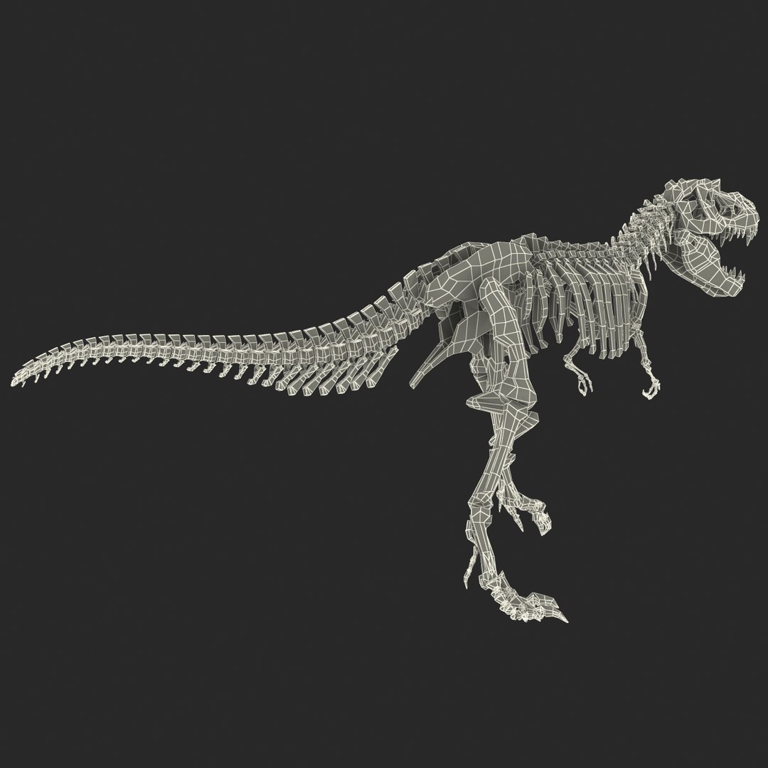 C4d Dinosaur T-rex Bones 2