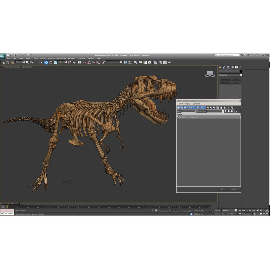 C4d Dinosaur T-rex Bones 2
