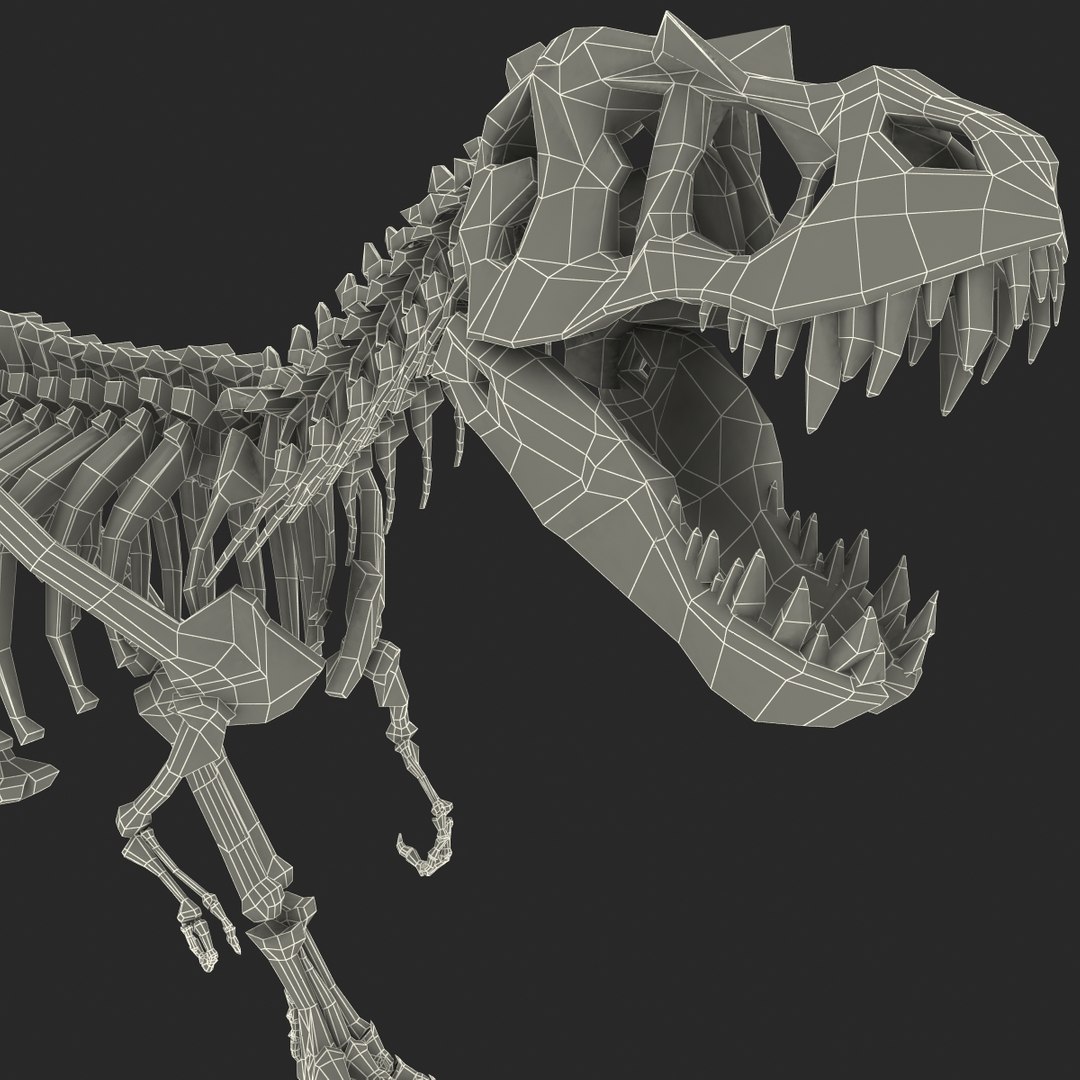 C4d Dinosaur T-rex Bones 2