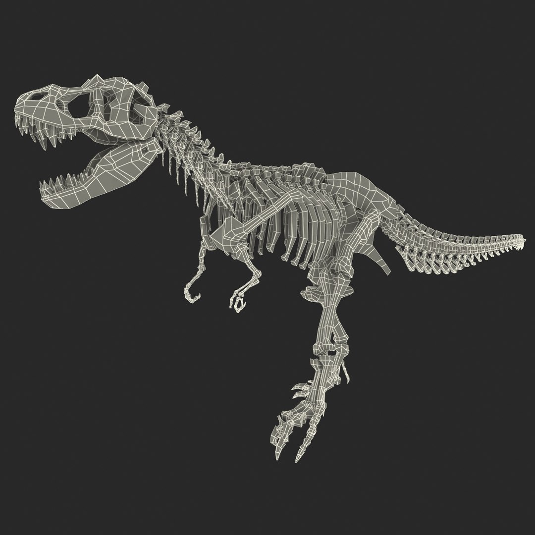 C4d Dinosaur T-rex Bones 2