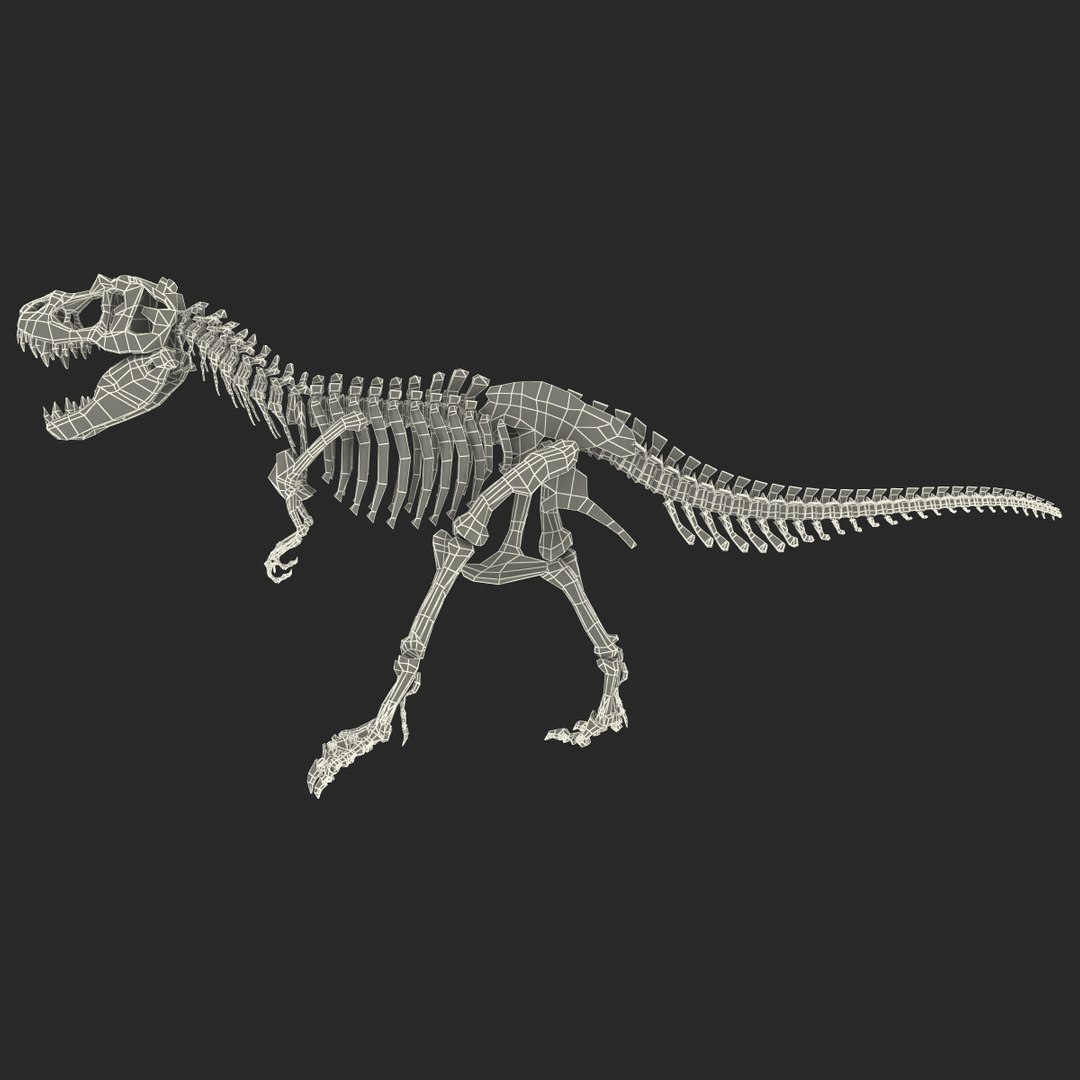 C4d Dinosaur T-rex Bones 2