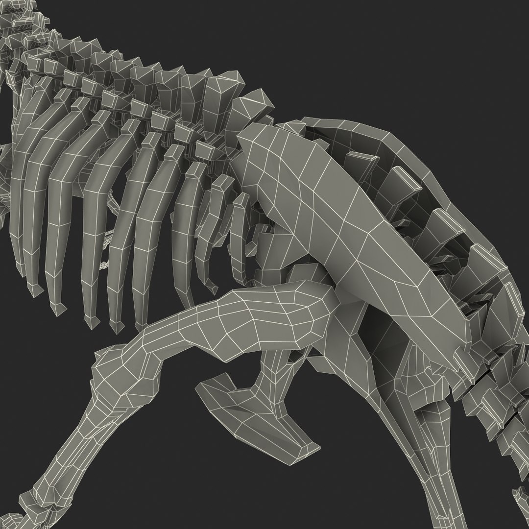 C4d Dinosaur T-rex Bones 2
