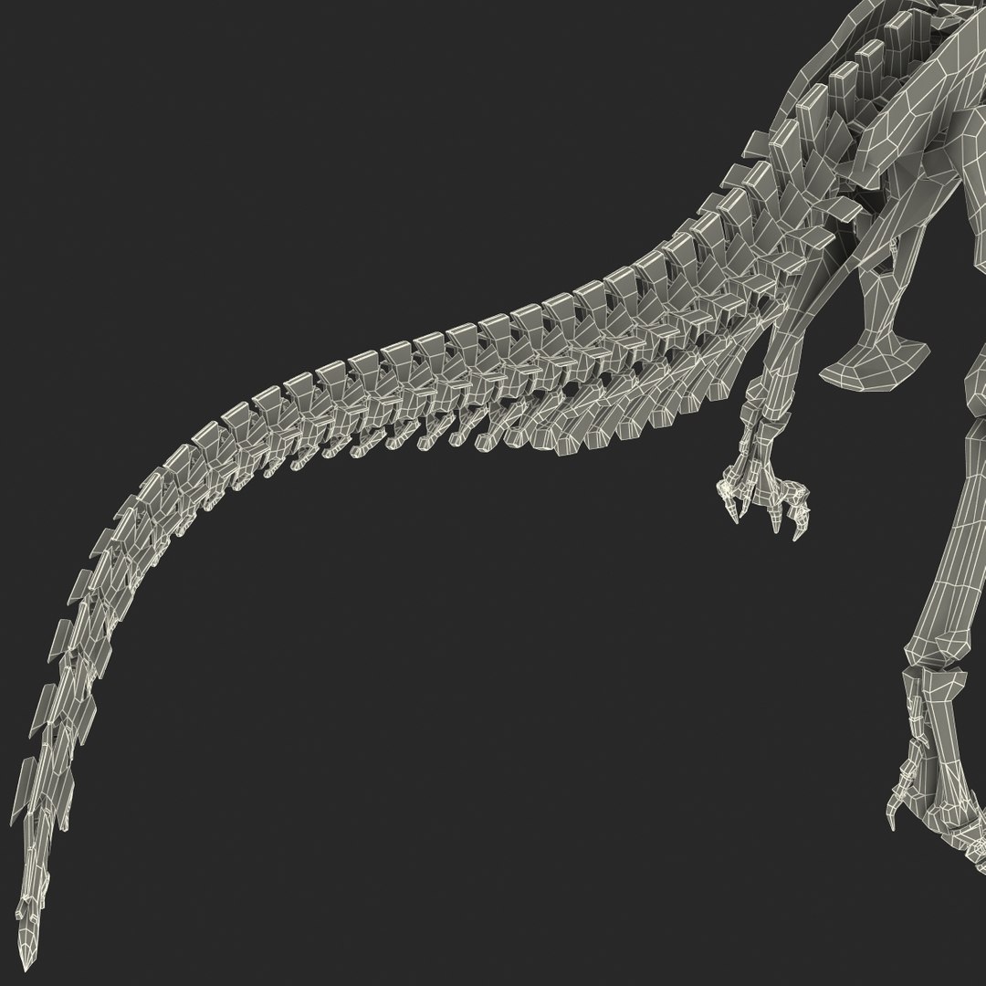 C4d Dinosaur T-rex Bones 2