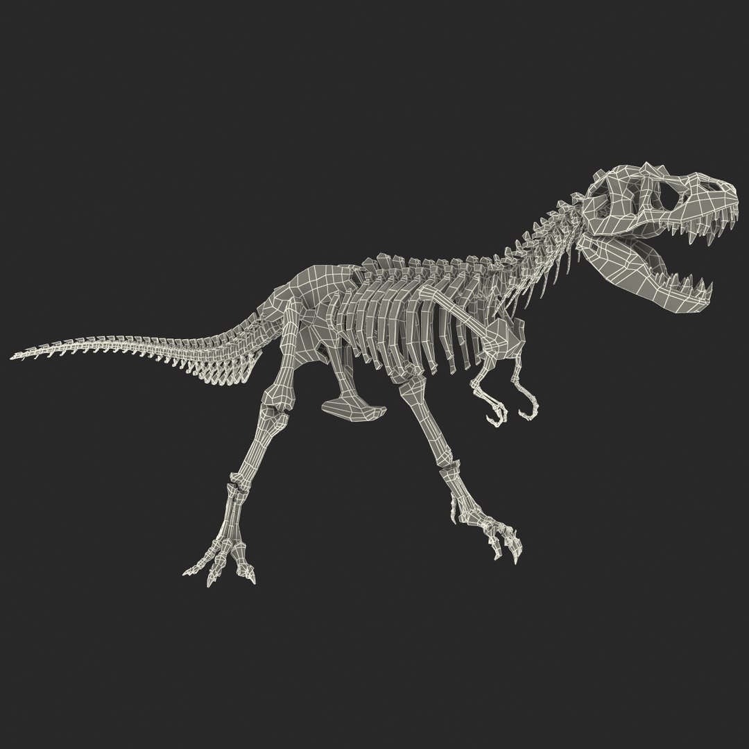 C4d Dinosaur T-rex Bones 2