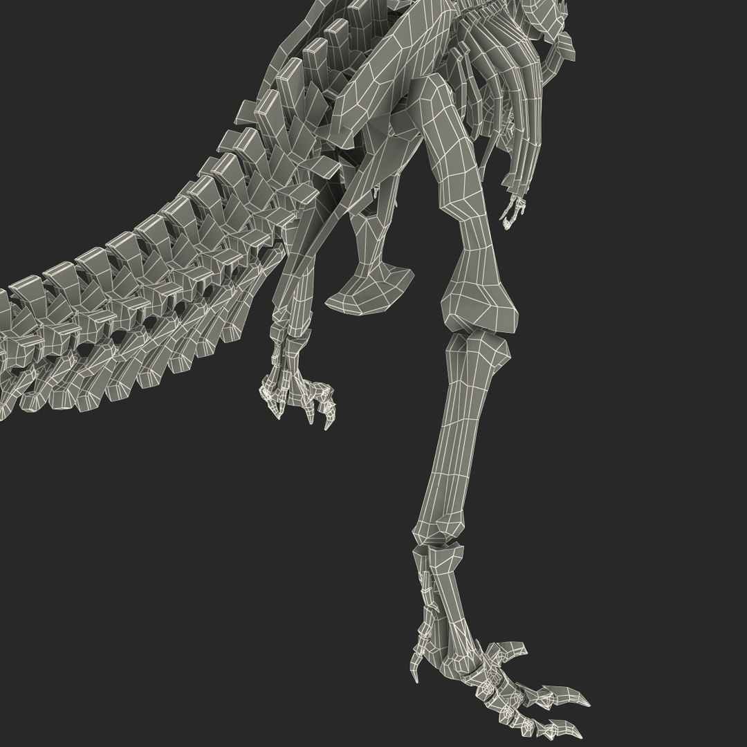 C4d Dinosaur T-rex Bones 2