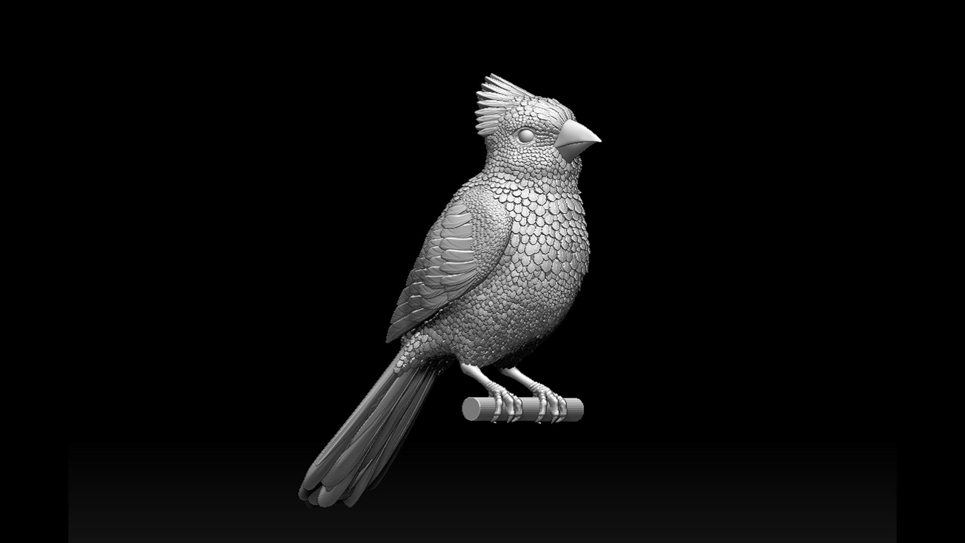 Bird Red Cardinal 3D - TurboSquid 2123862
