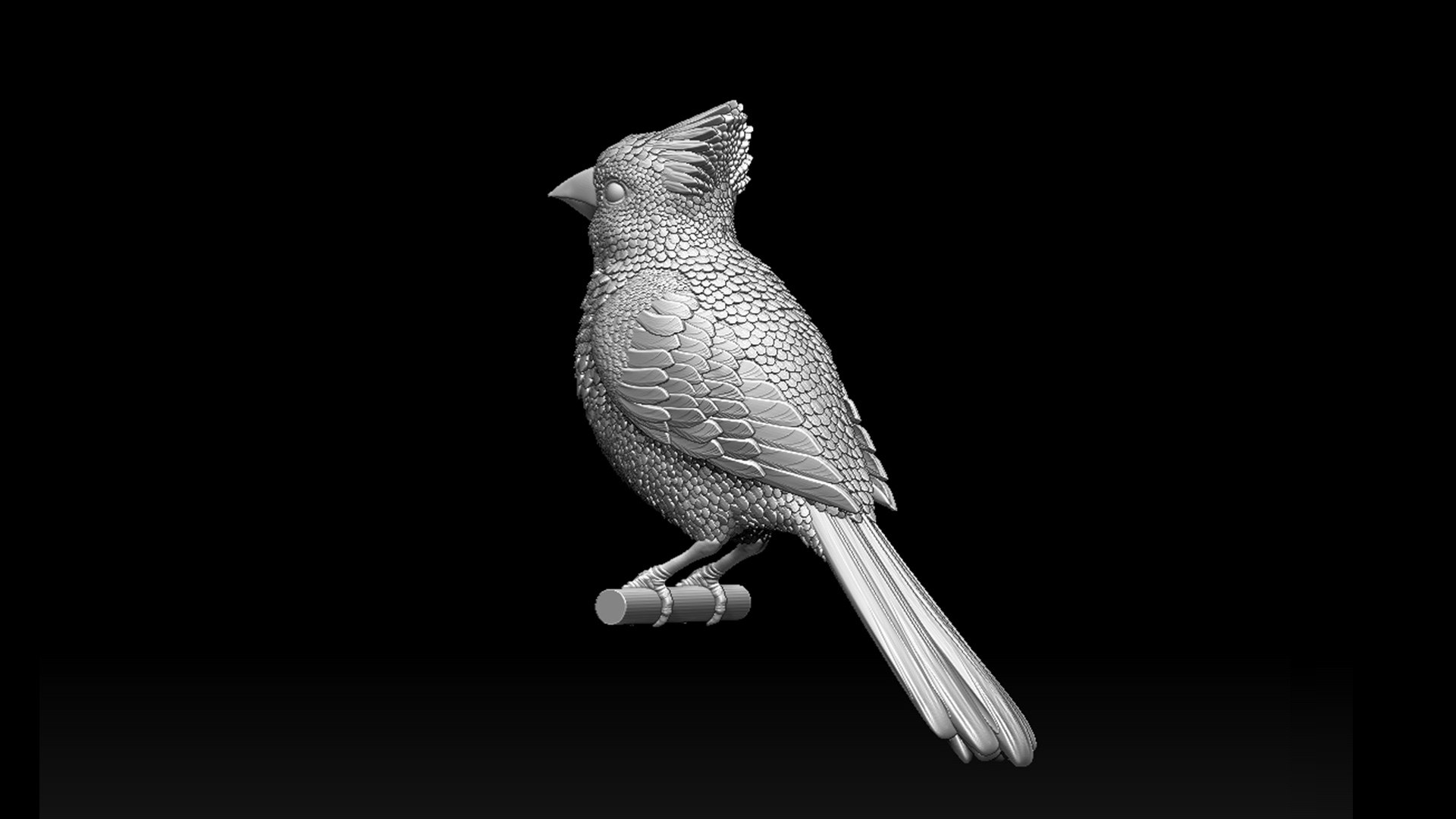 Bird Red Cardinal 3D - TurboSquid 2123862