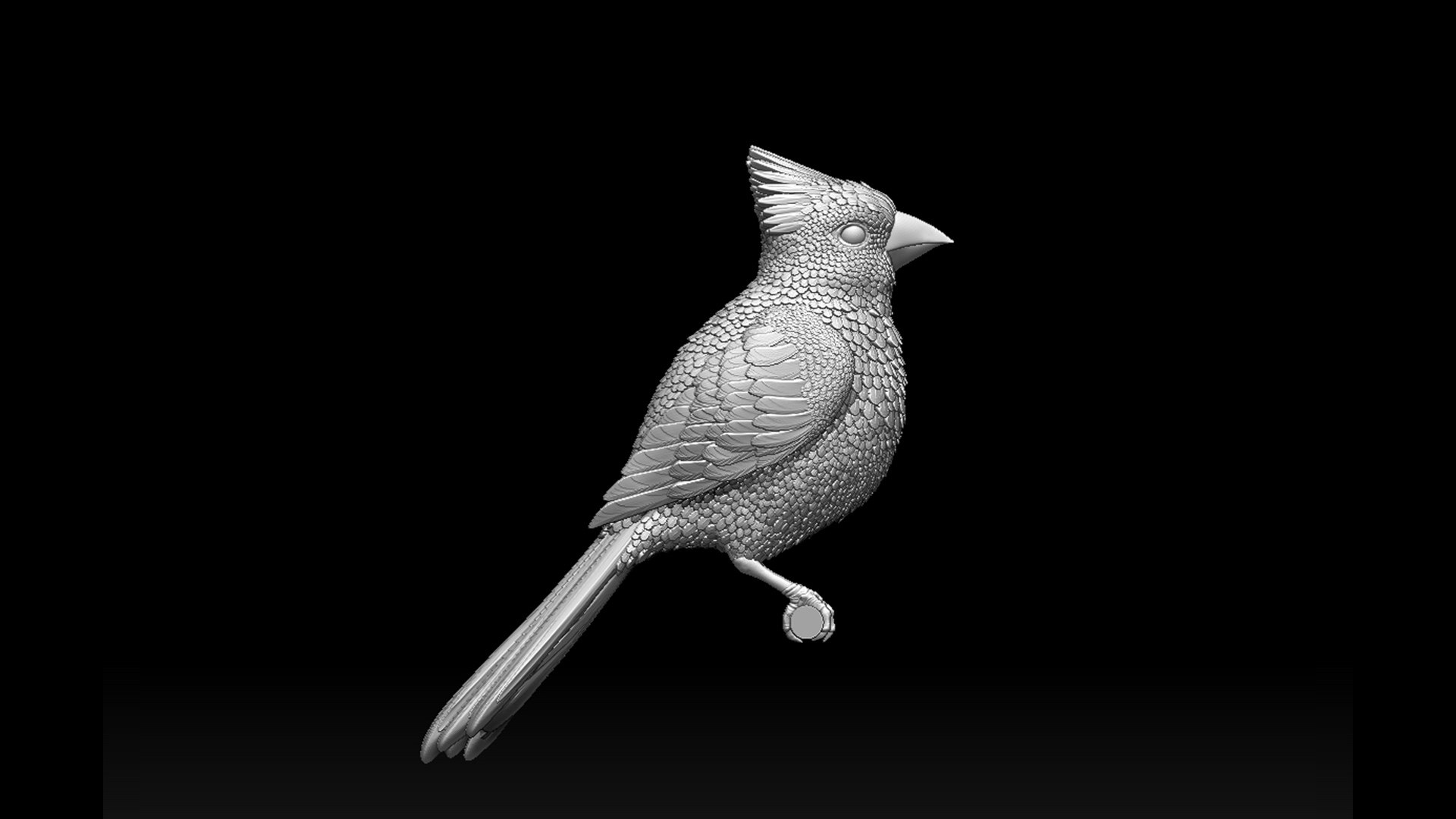 Bird Red Cardinal 3D - TurboSquid 2123862