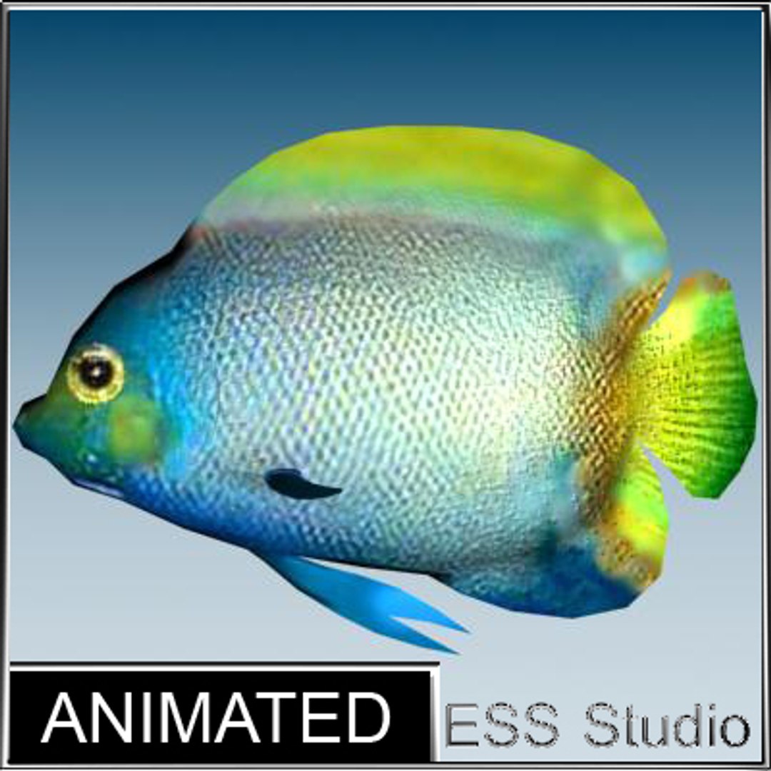 3d tropical fish 12