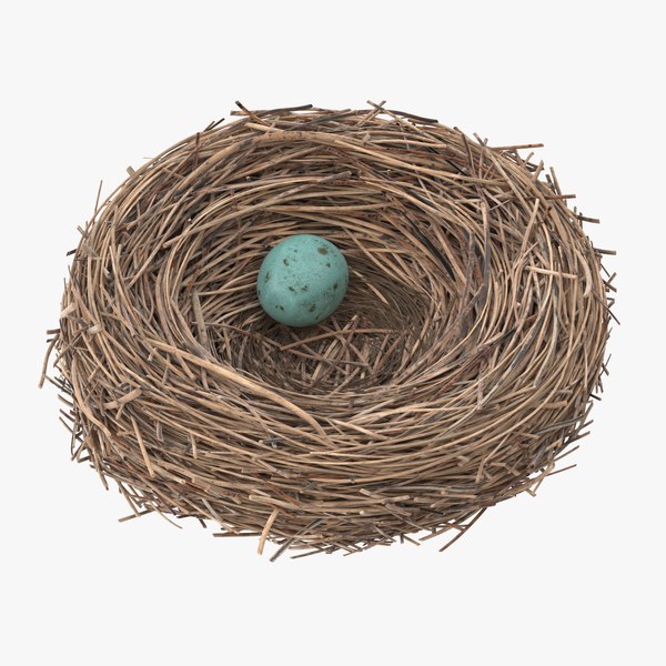 Bird Nest 3D Models for Download | TurboSquid
