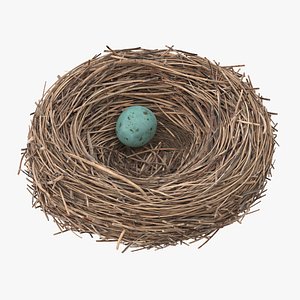 Download Free & Premium Bird Nest 3D Models | TurboSquid