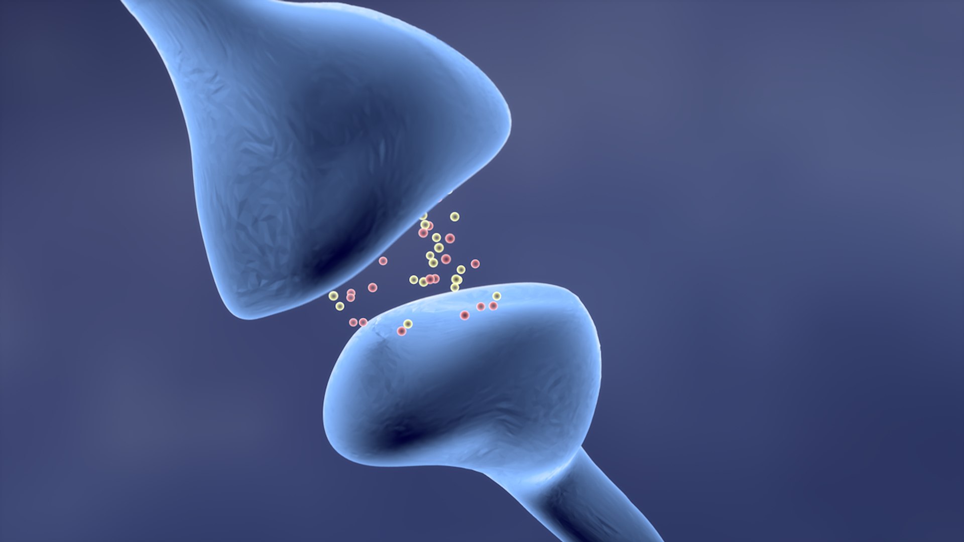 3D neuron synapse - TurboSquid 1364034