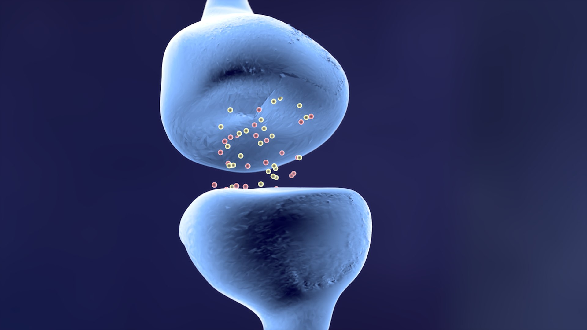 3D neuron synapse - TurboSquid 1364034