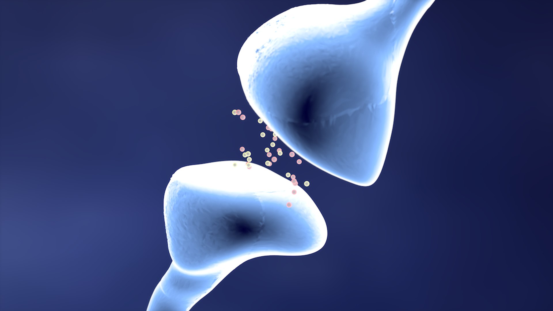 3D neuron synapse - TurboSquid 1364034