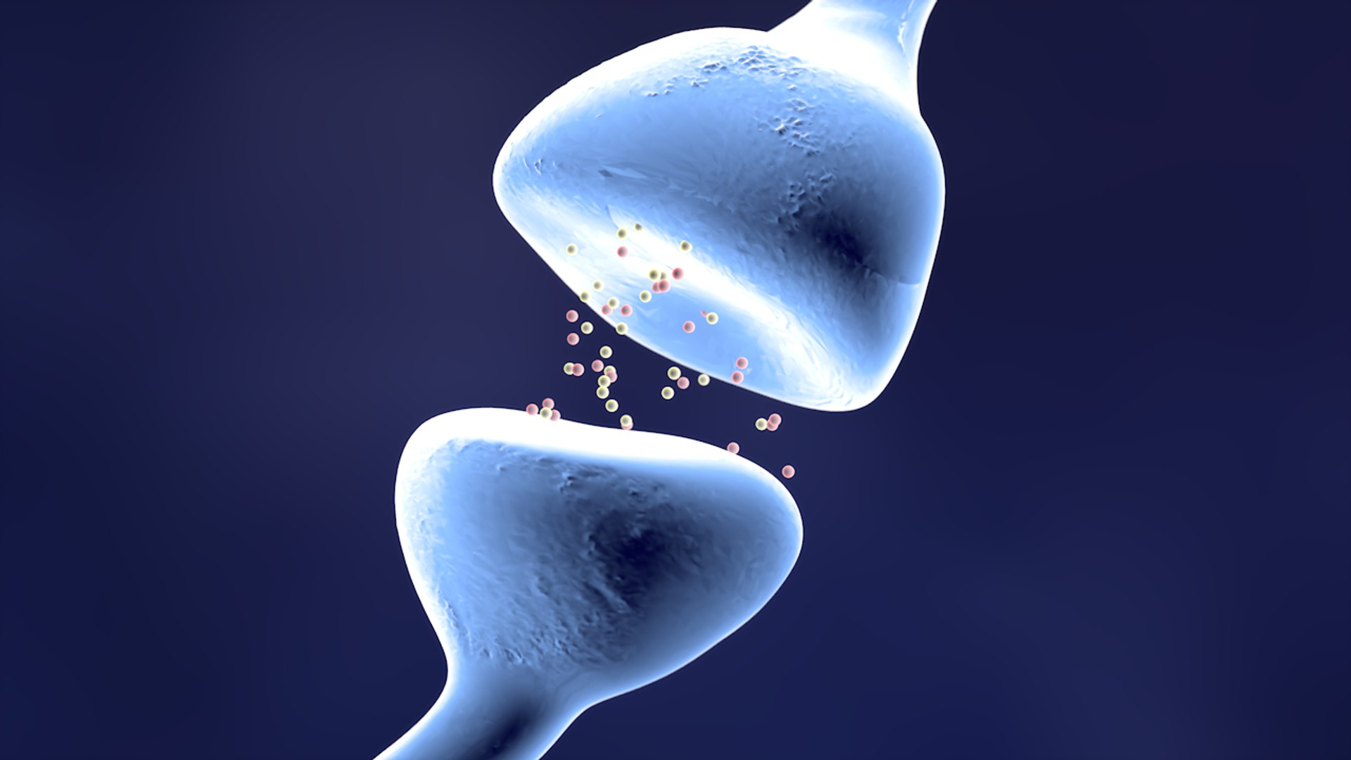 3D neuron synapse - TurboSquid 1364034