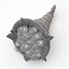 Cornucopia 3d Model
