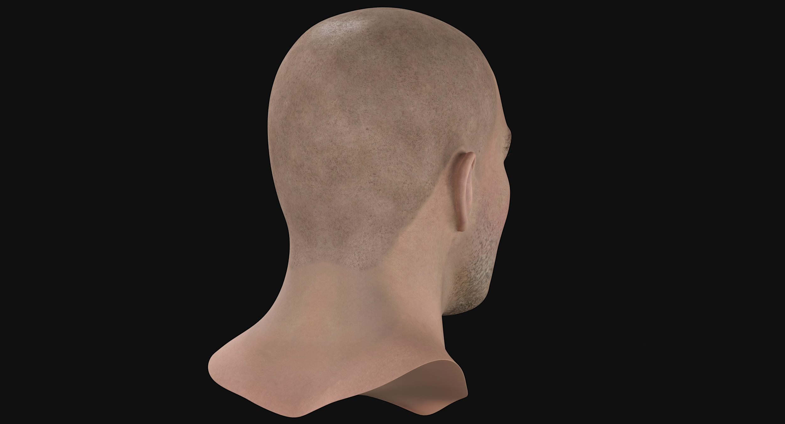 3D male police head - TurboSquid 1392821