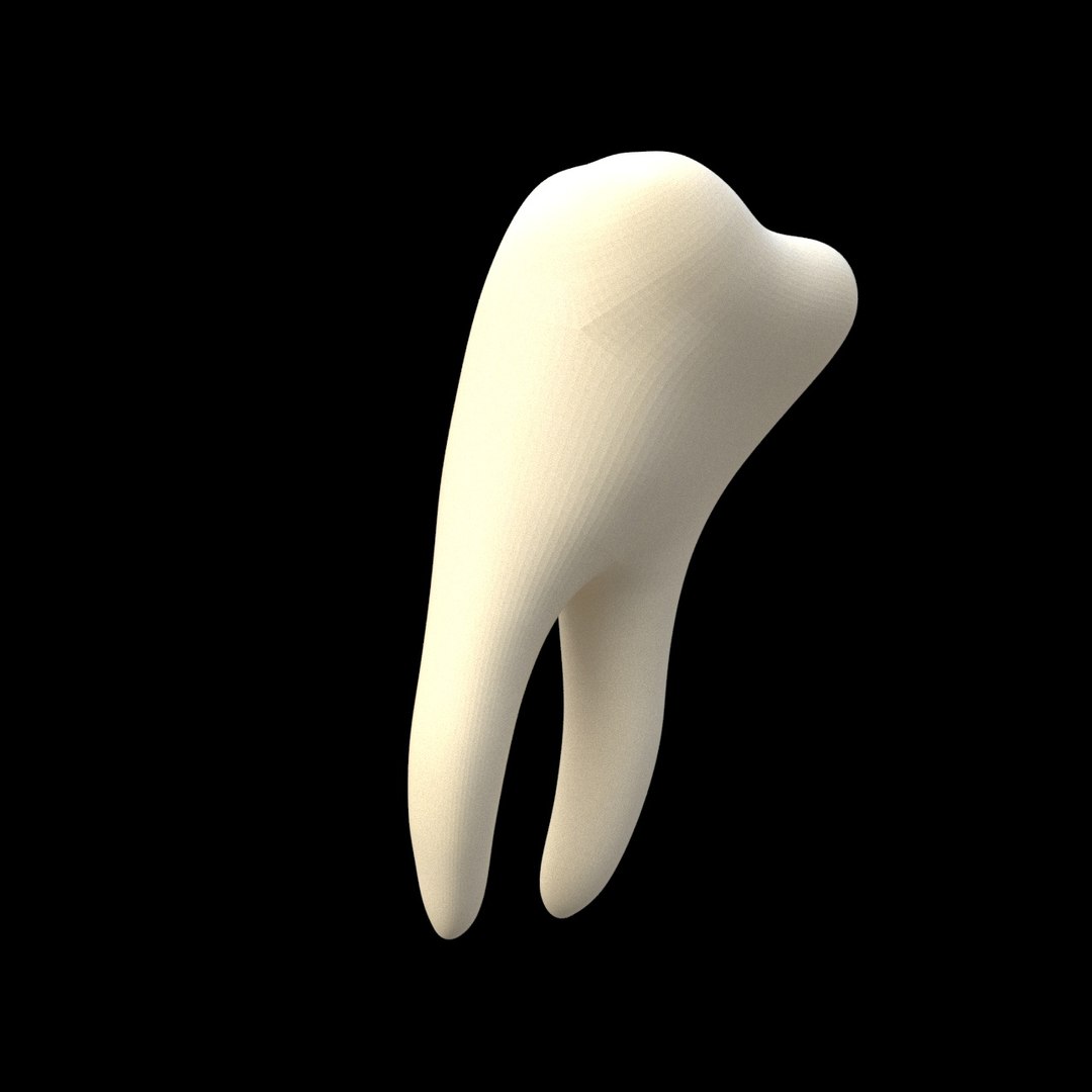 Molar Tooth 3D Model - TurboSquid 1171021