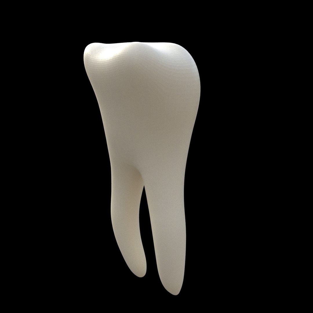 Molar Tooth 3D Model - TurboSquid 1171021