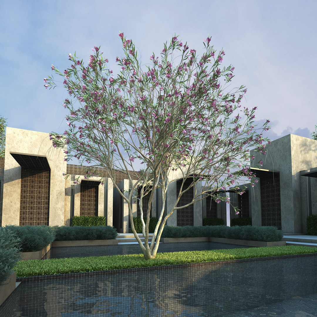 3D flower tree model - TurboSquid 1313229