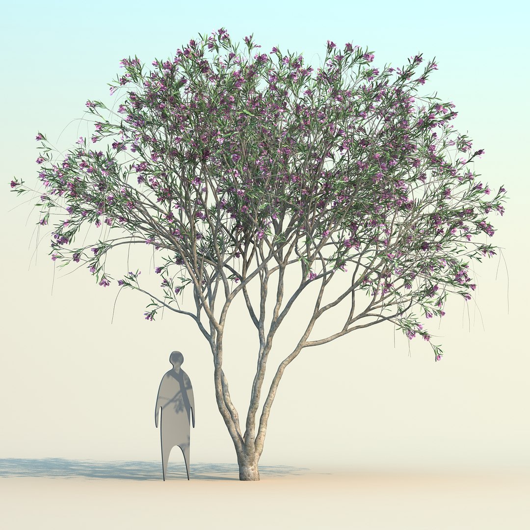 3D flower tree model - TurboSquid 1313229