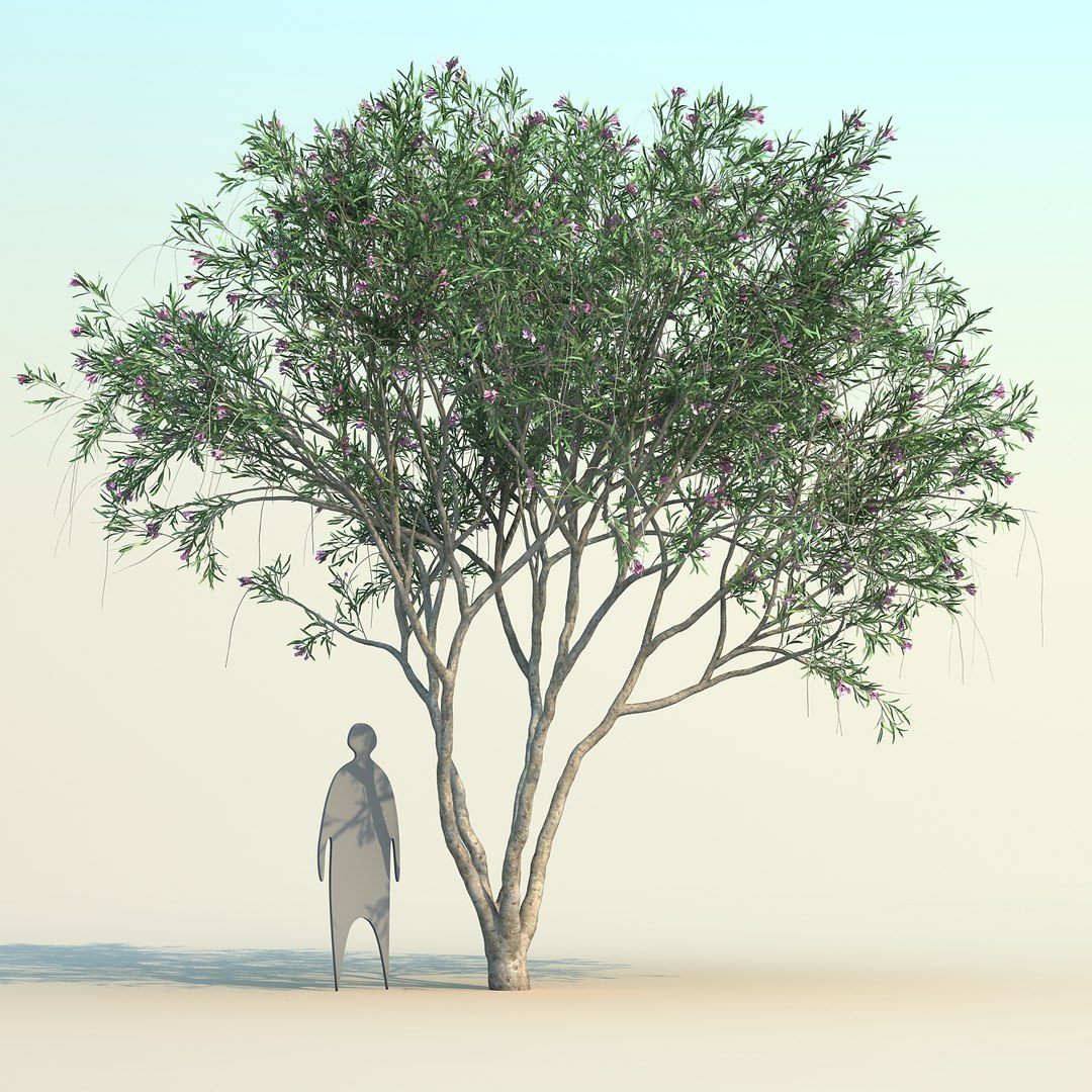 3D flower tree model - TurboSquid 1313229