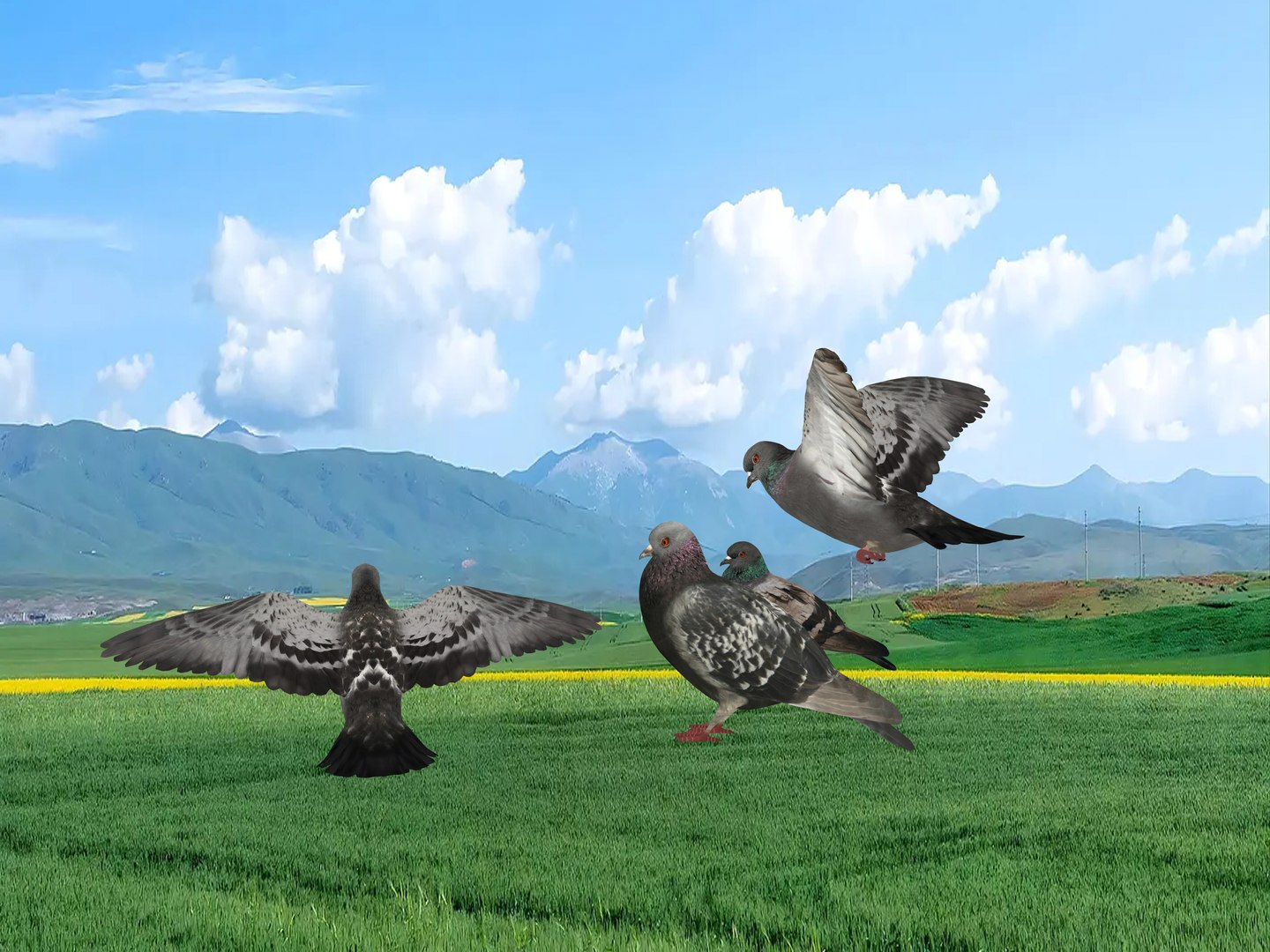 Pigeon 3D Model - TurboSquid 2089755