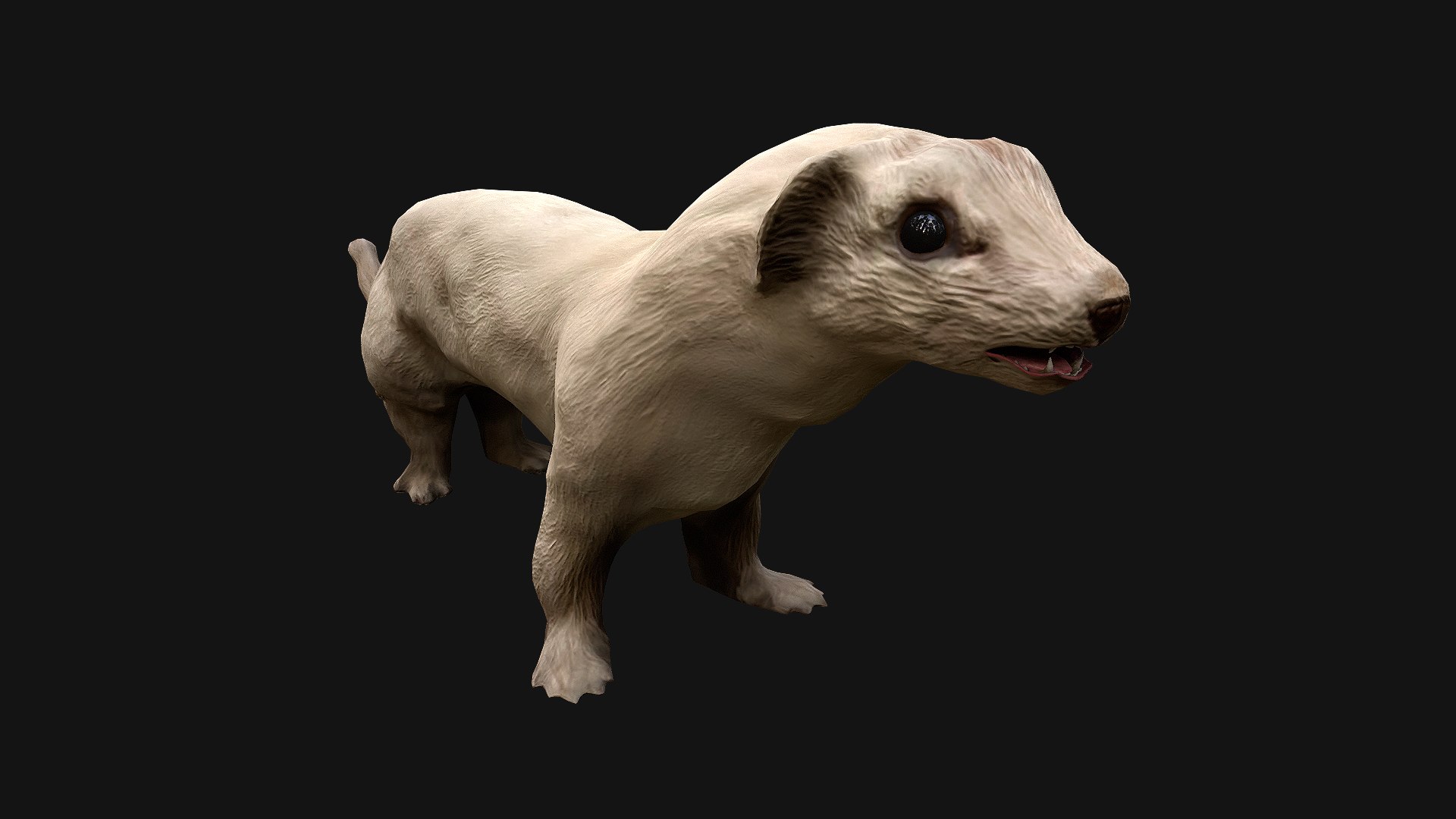 Weasel Ermine 3D Model - TurboSquid 2069753