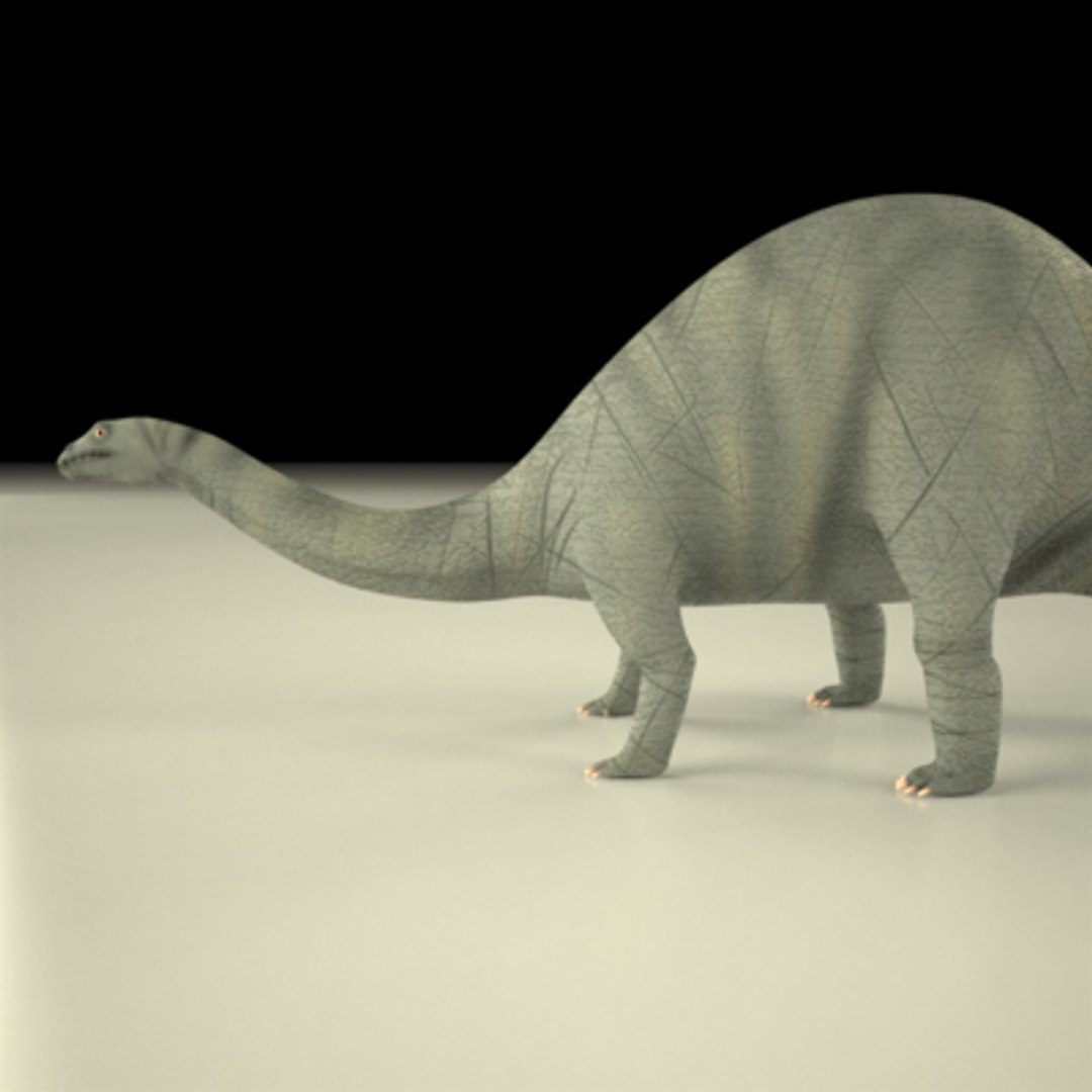 Brontosaurus 3d Model