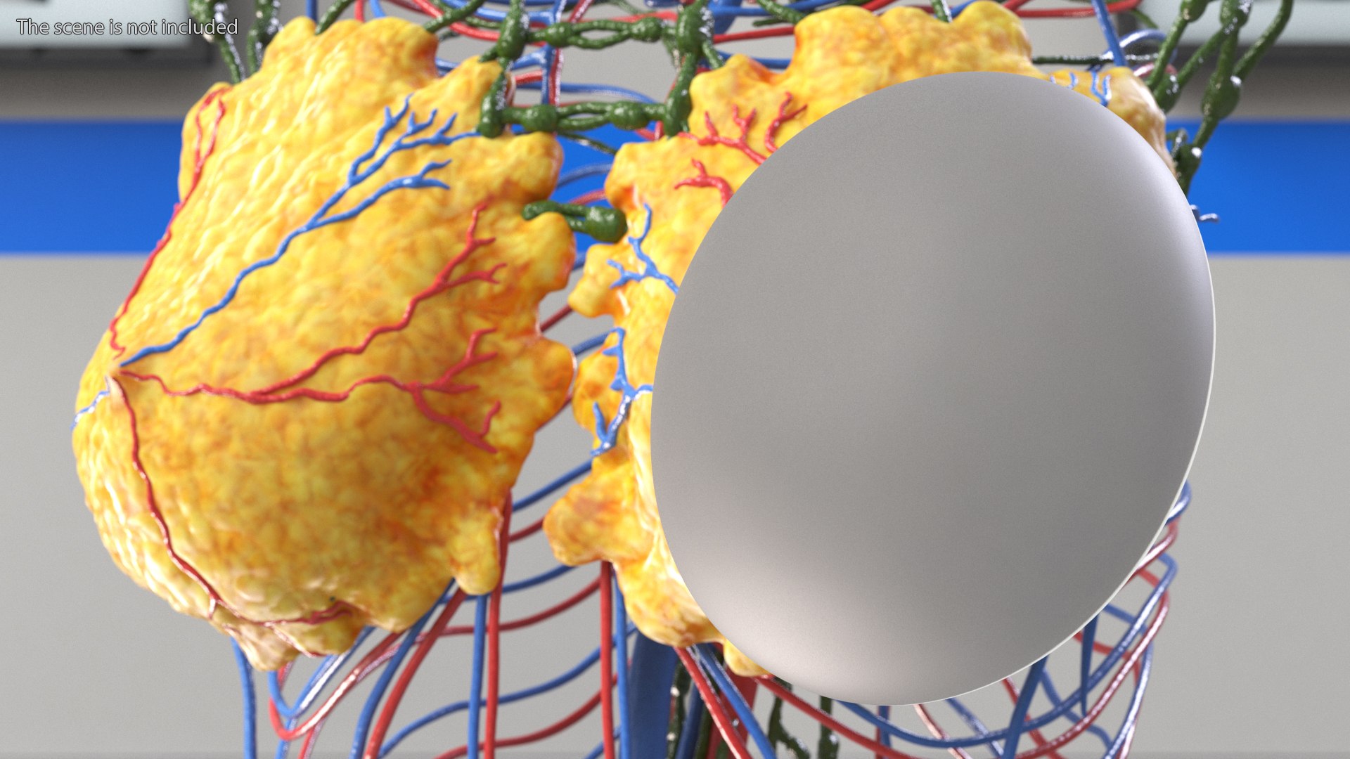 3D Moderate Textured Female Breast Implant - TurboSquid 2158708