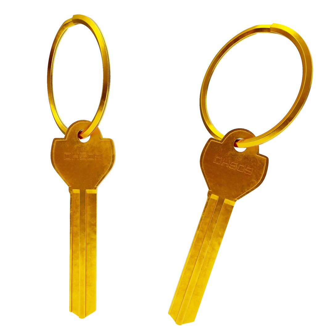 3D Door Gold Key Model - TurboSquid 1976938