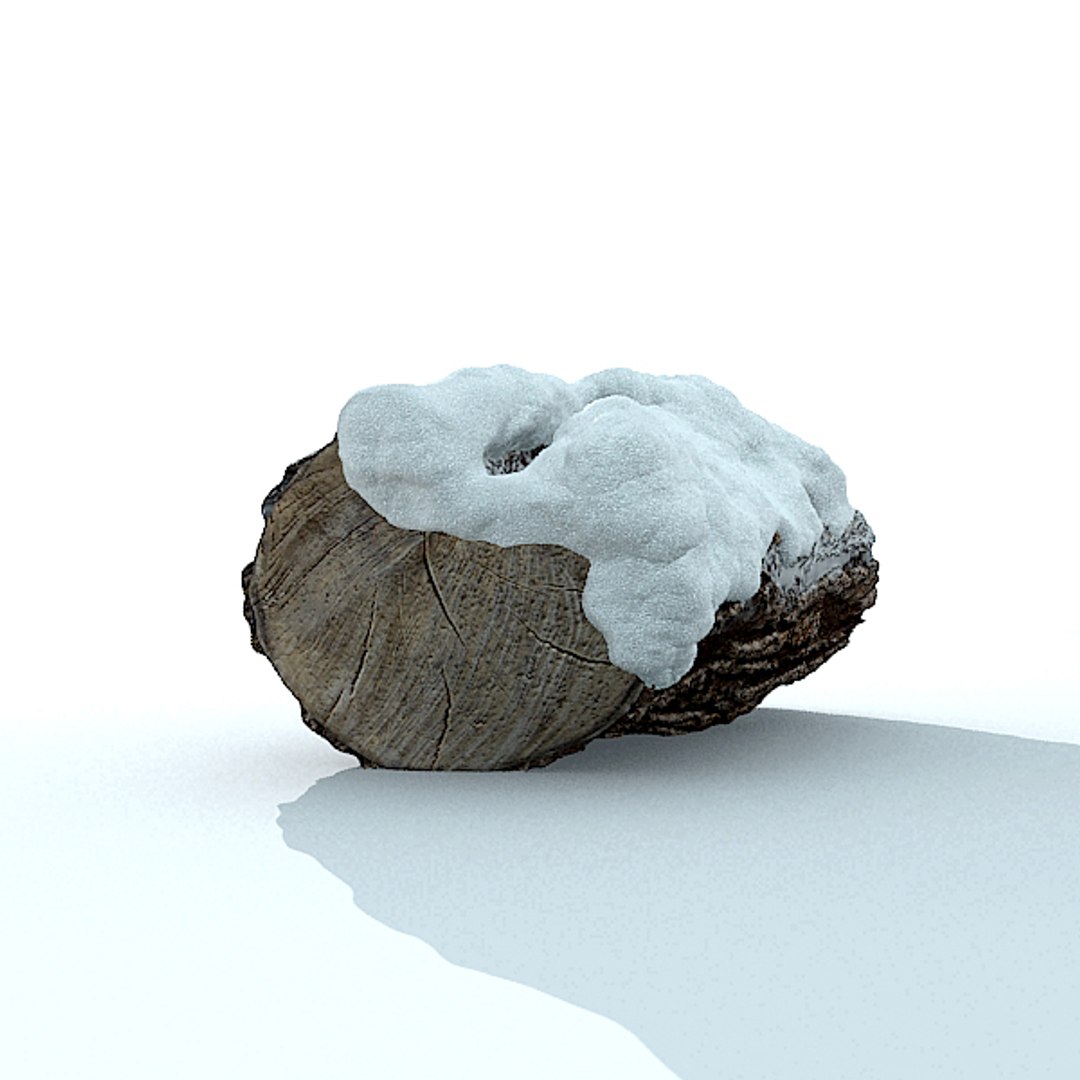 Log Snowy Snow