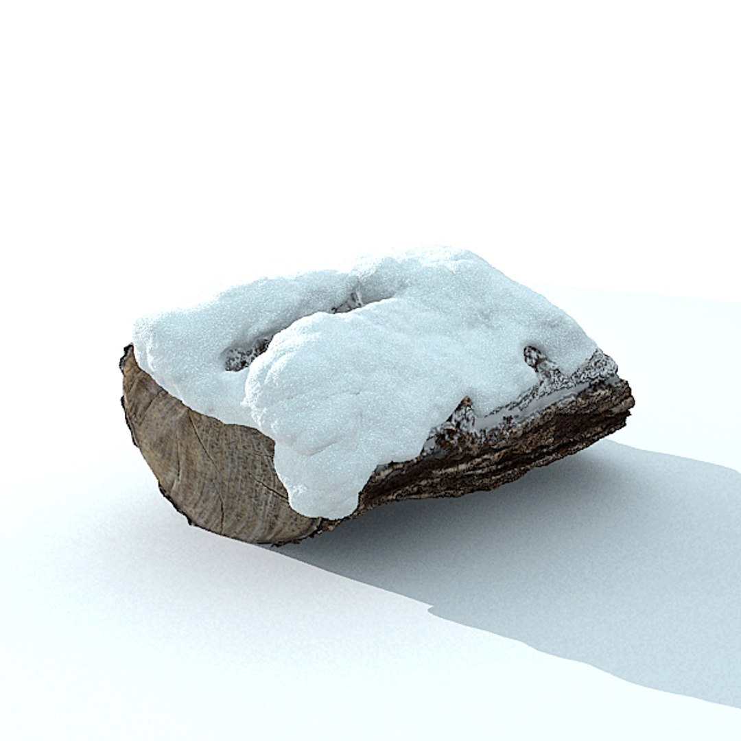 Log Snowy Snow